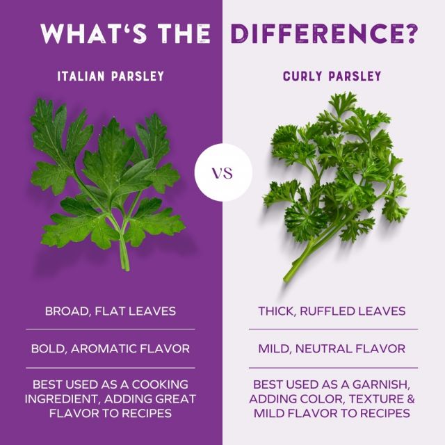 Parsley And Cilantro Difference Arab Memes